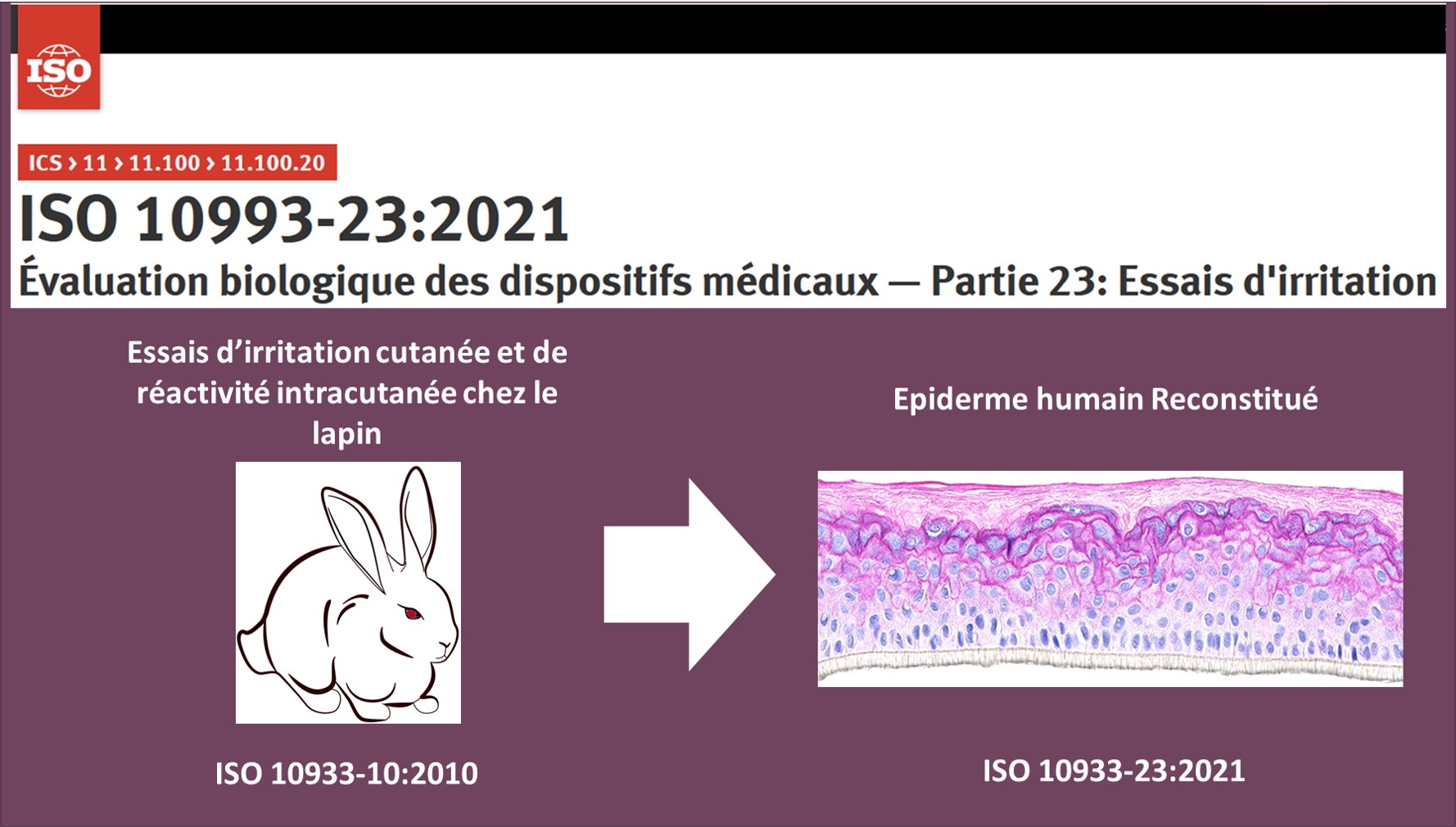 Biocompatibilité des dispositifs médicaux: analyse de la nouvelle norme ...